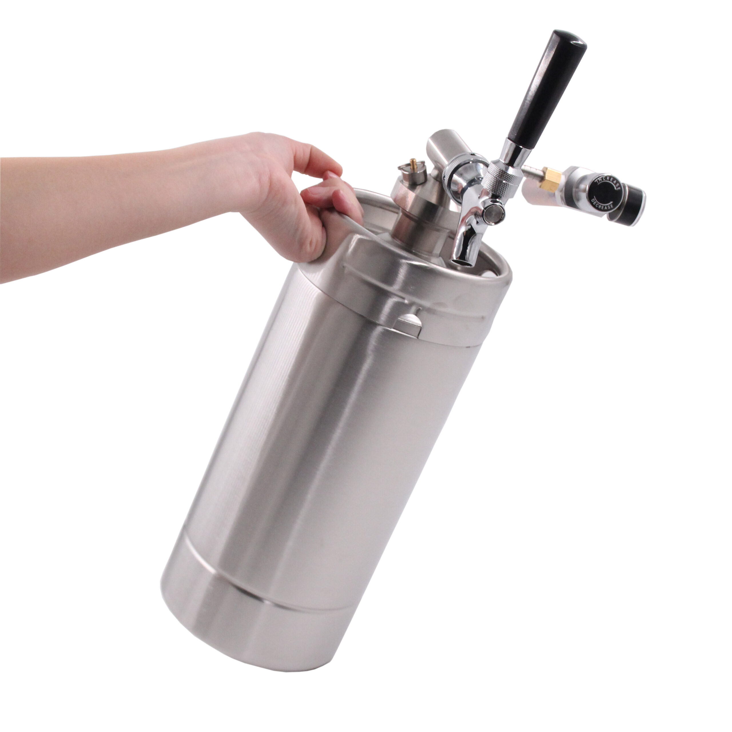 One Gallon Personal Mini Keg Dispensing System, Draft Beer On Tap, A ...